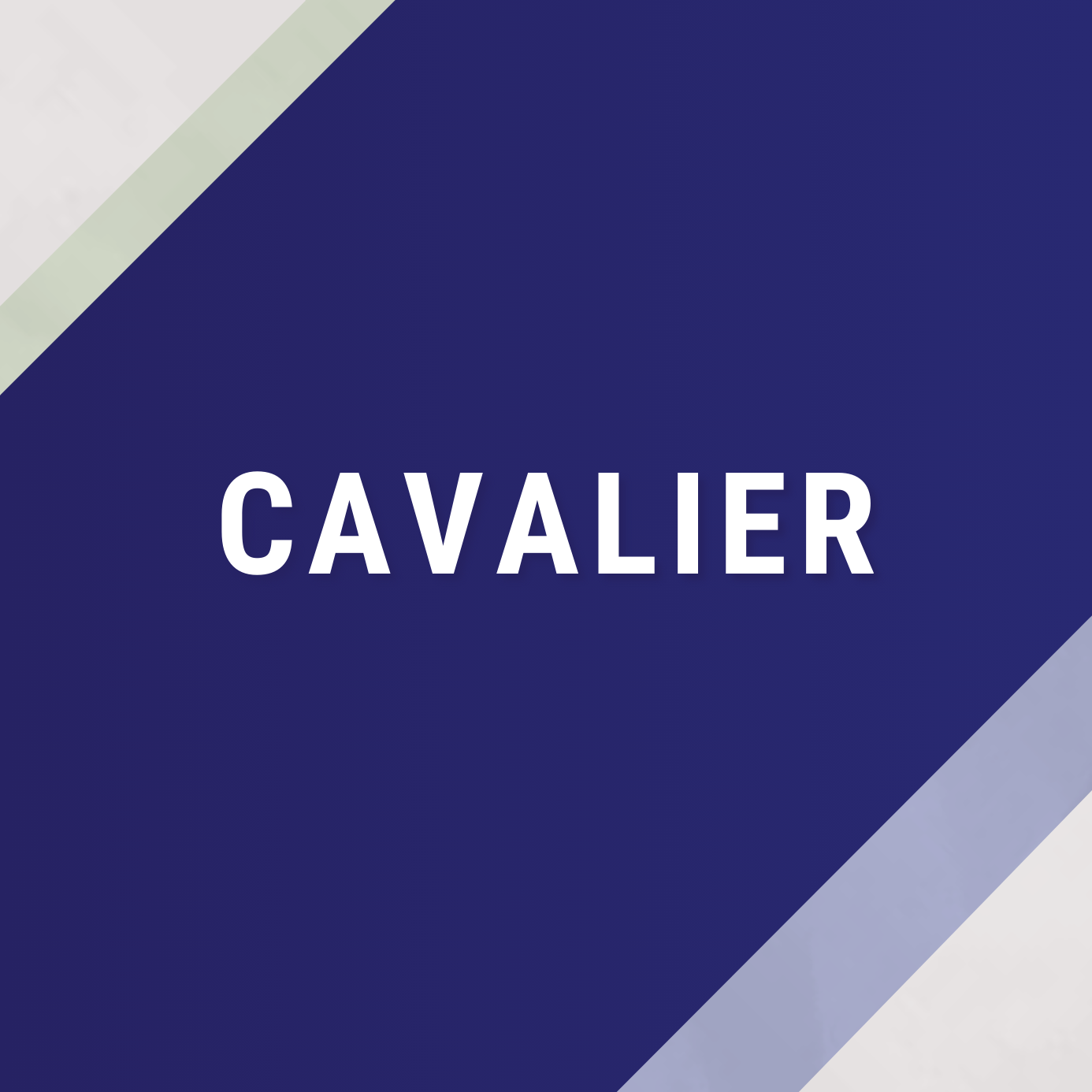 Cavalier | The Back Paddock 3311 | Horse Rugs & Equine Needs